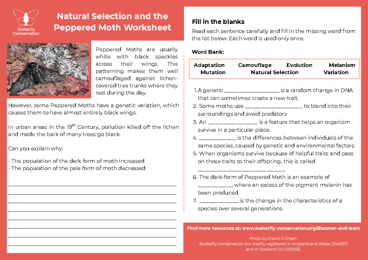 Natural Selection and the Peppered Moth Worksheet - Studocu