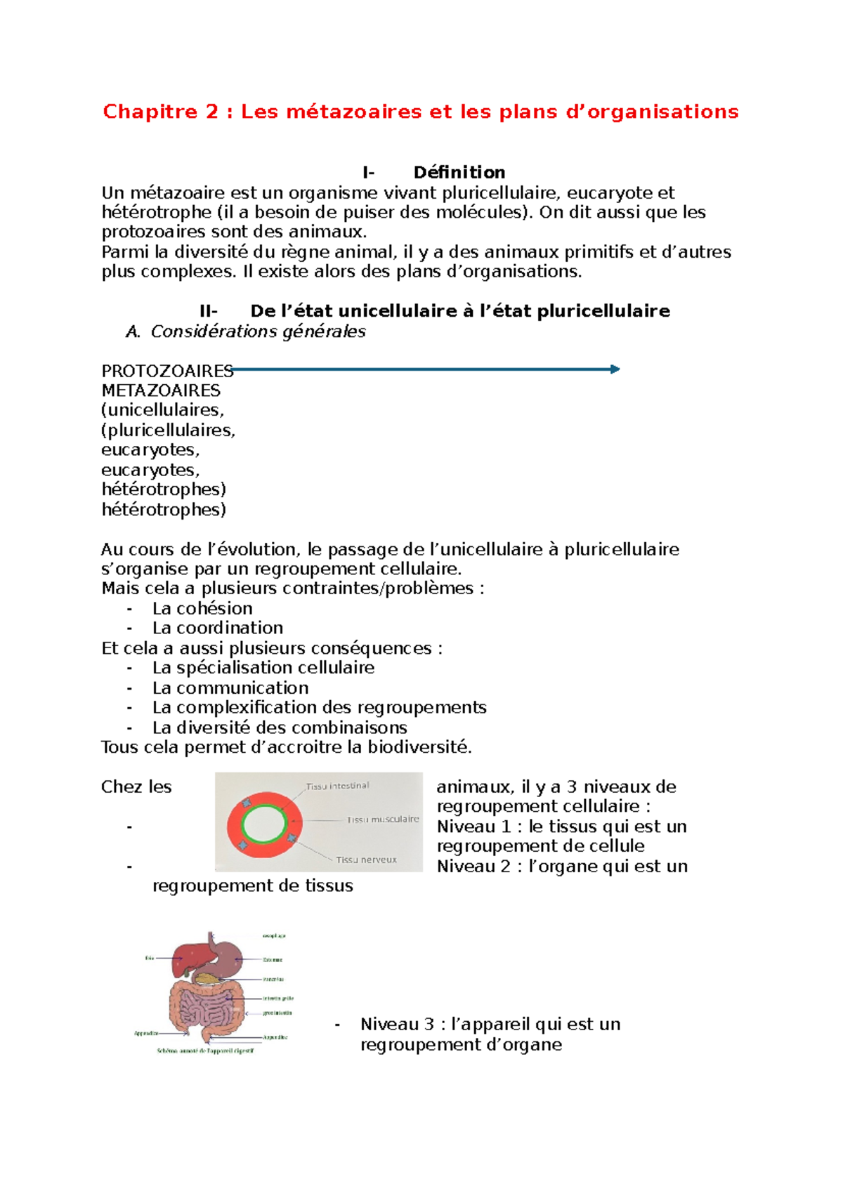 Chapitre 2 : Métazoaires et Plans d'Organisation en Biologie - Studocu