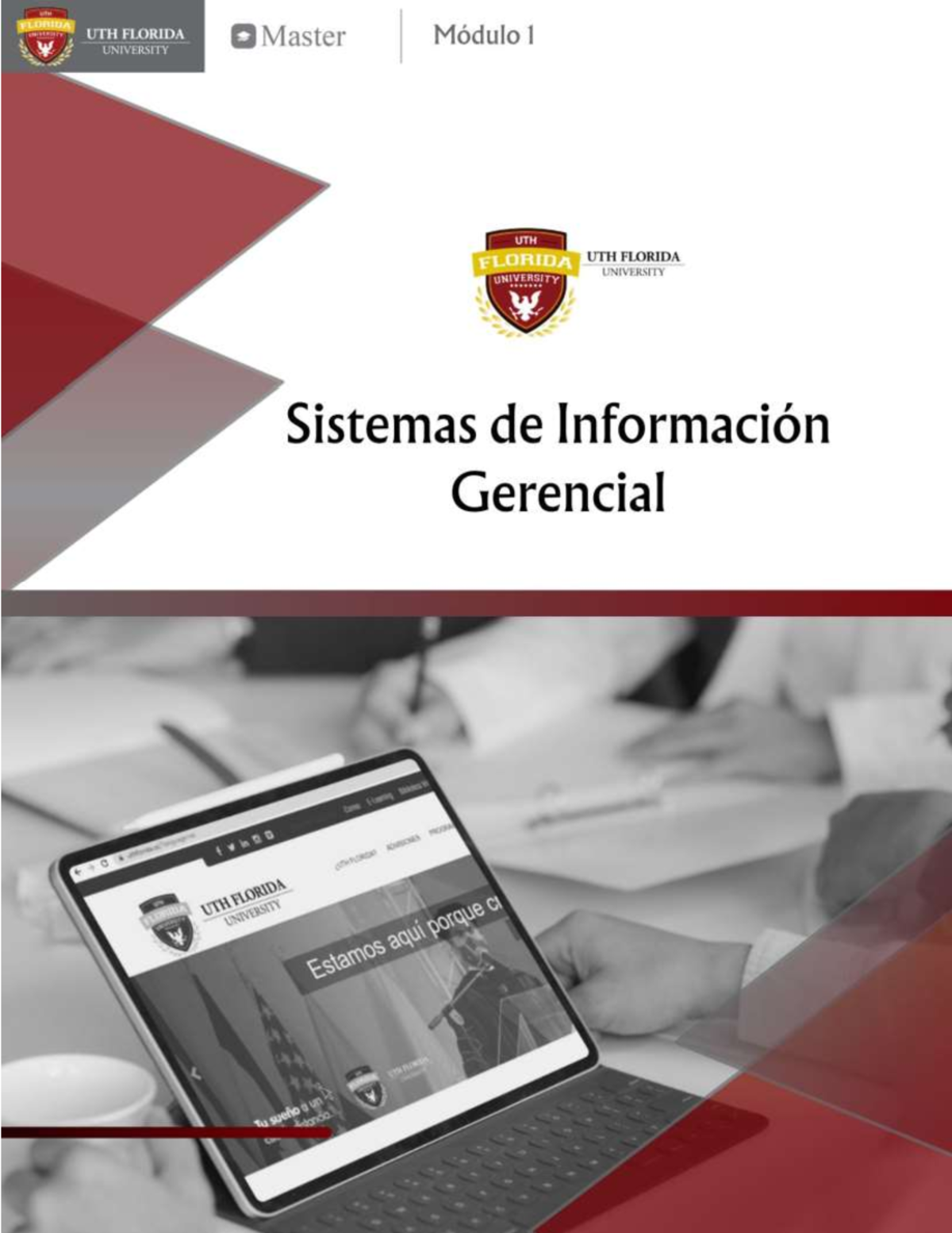 Módulo I Sistemas de Información Gerencial - 0 Módulo I: Sistemas de información (si) y las ...