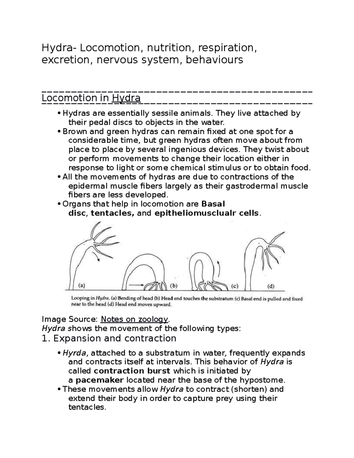 Hydra- Locomotion, nutrition, respiration, excretion, nervous system ...