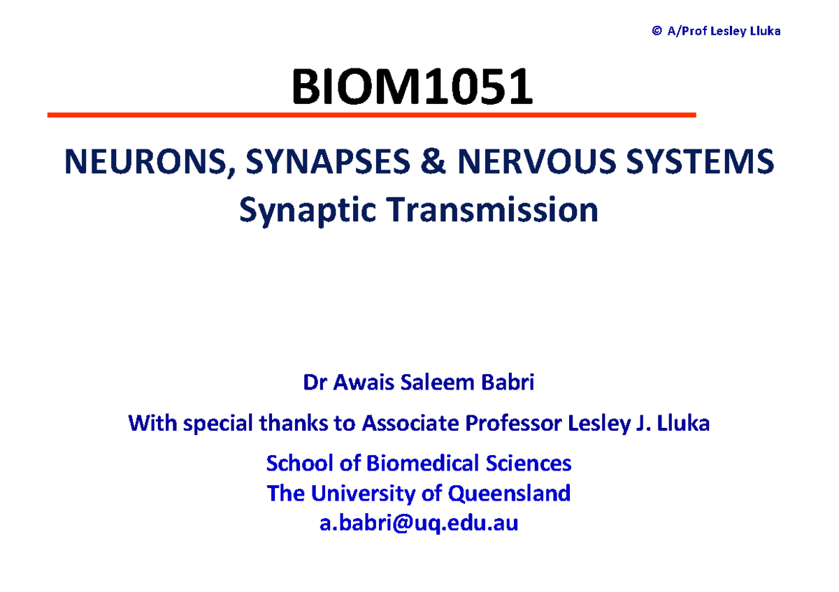BIOM1051 Module 3: Neurons, Synapses & Synaptic Transmission Sem1 2024 ...