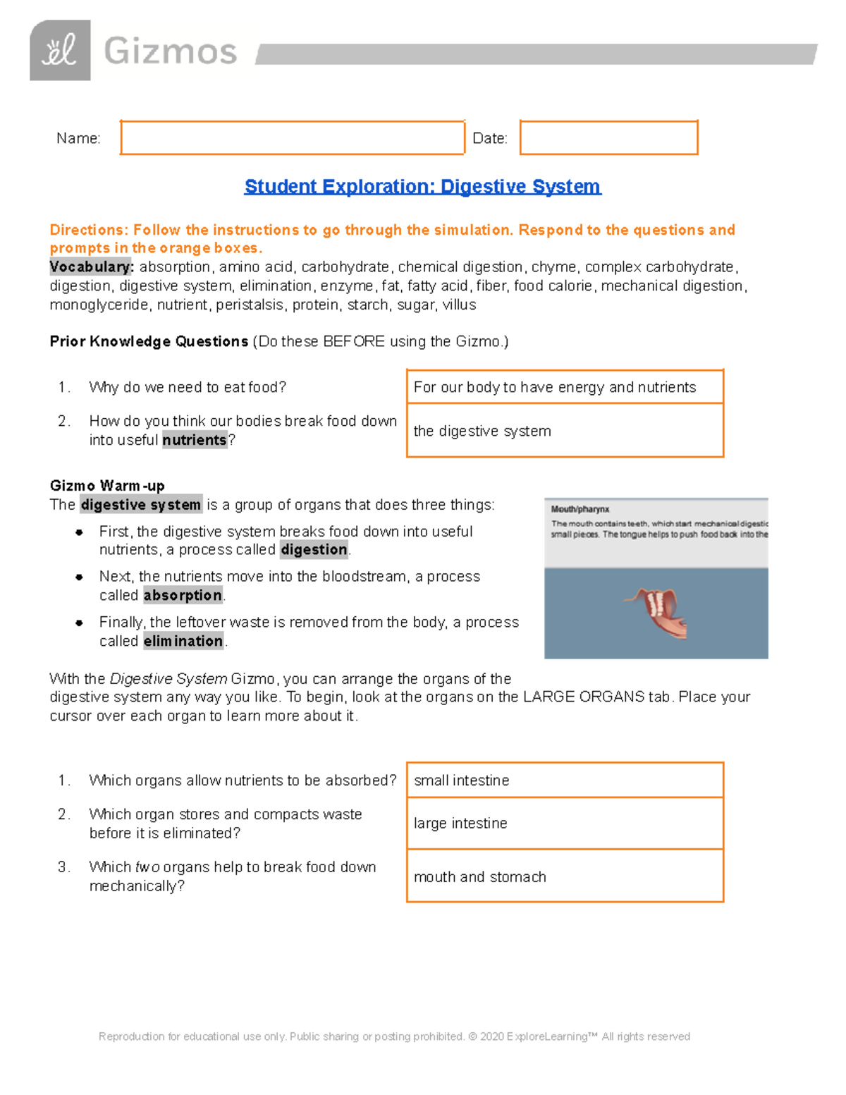 Student Exploration: Gizmo Digestive System Simulation Activities - Studocu