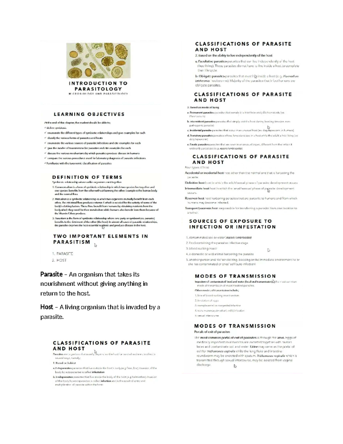 Parasite Overview: Stages, Transmission, and Infection Sources - Art ...