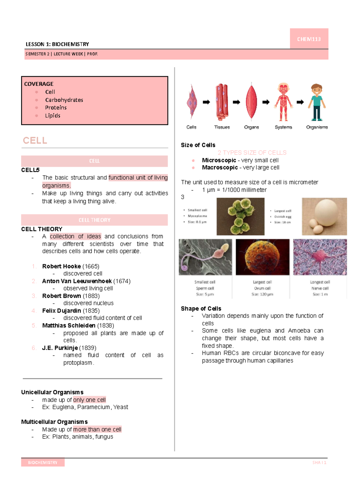 Lesson 1 Biochemistry - BIOCHEM - LESSON 1: BIOCHEMISTRY SEMESTER 2 ...