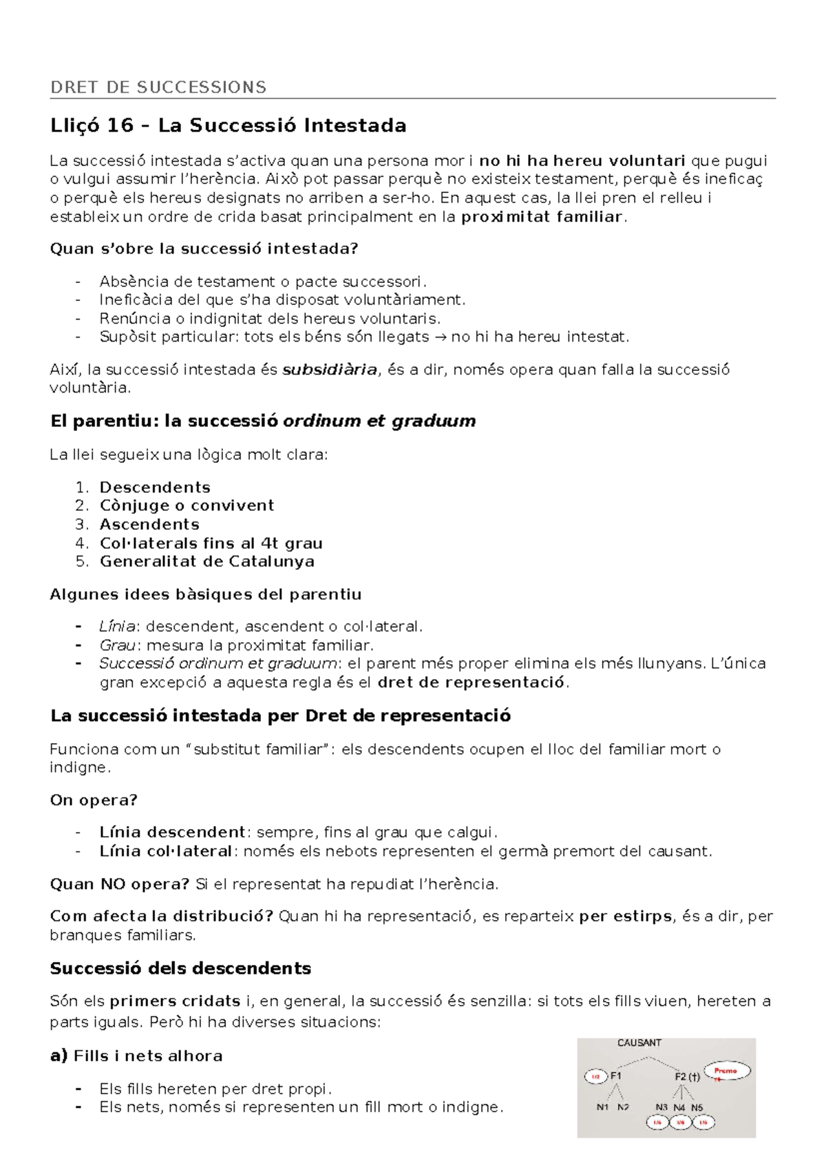 DRET DE SUCCESSIONS Lliçó 16: La Successió Intestada i el Dret de ...