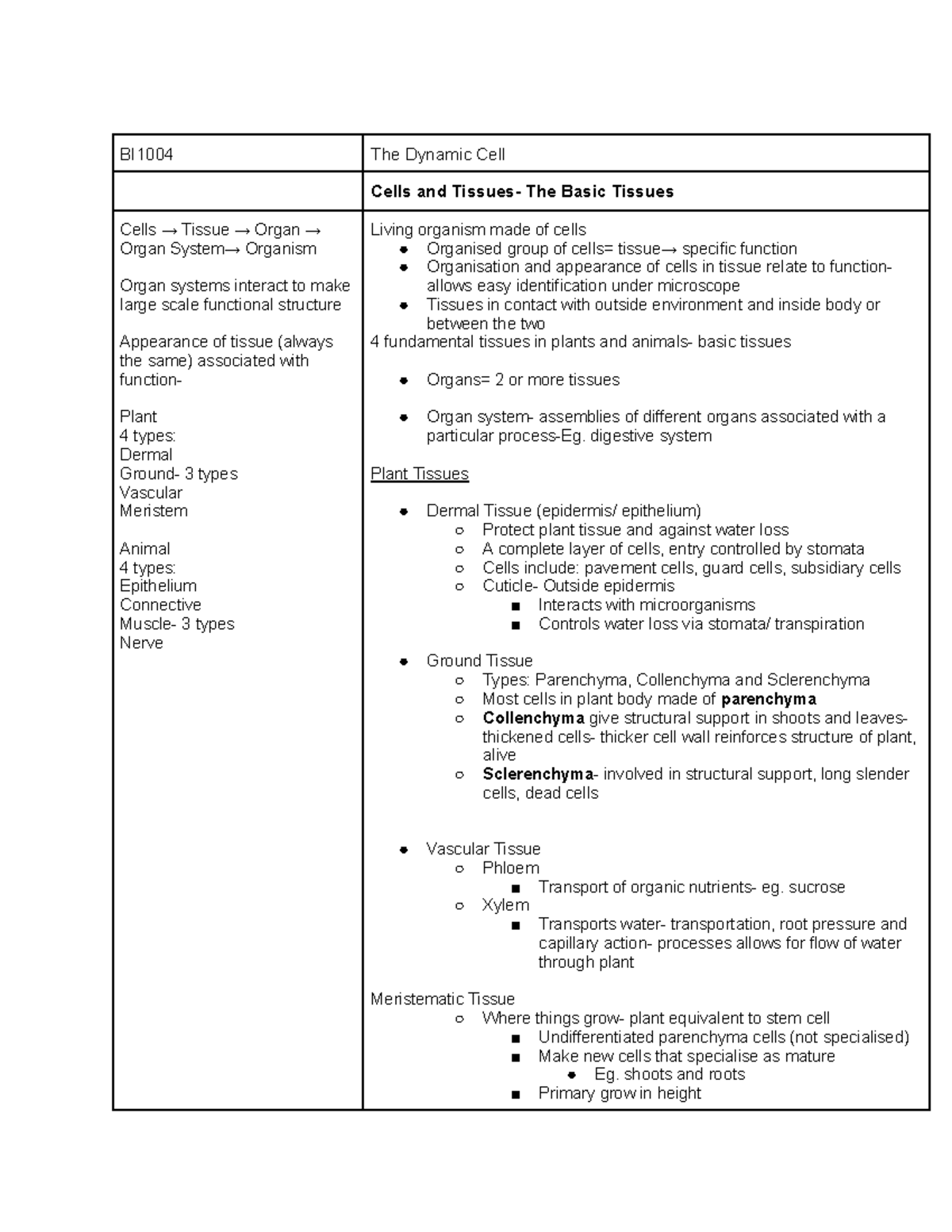 BI1004 Lecture Notes on Basic Tissues: Plant and Animal Structures ...
