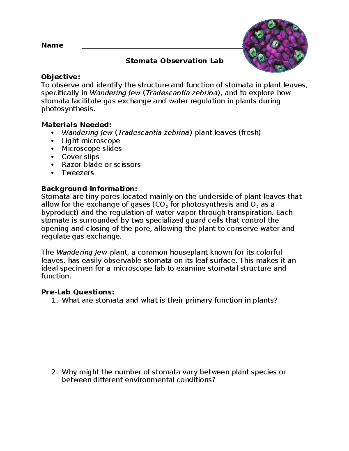 Stomata Lab: Exploring Leaf Structure and Function in Adv Bio - Studocu