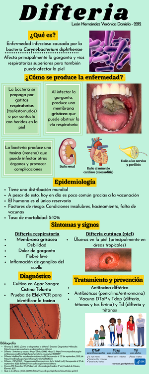 Etapas DEL Proceso Infeccioso - ETAPAS DEL PROCESO INFECCIOSO ...