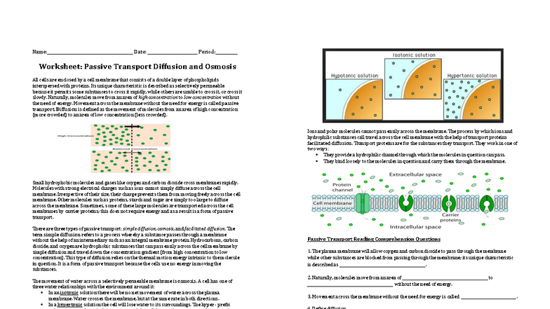 Worksheet: Passive Transport - Diffusion & Osmosis Concepts - Studocu