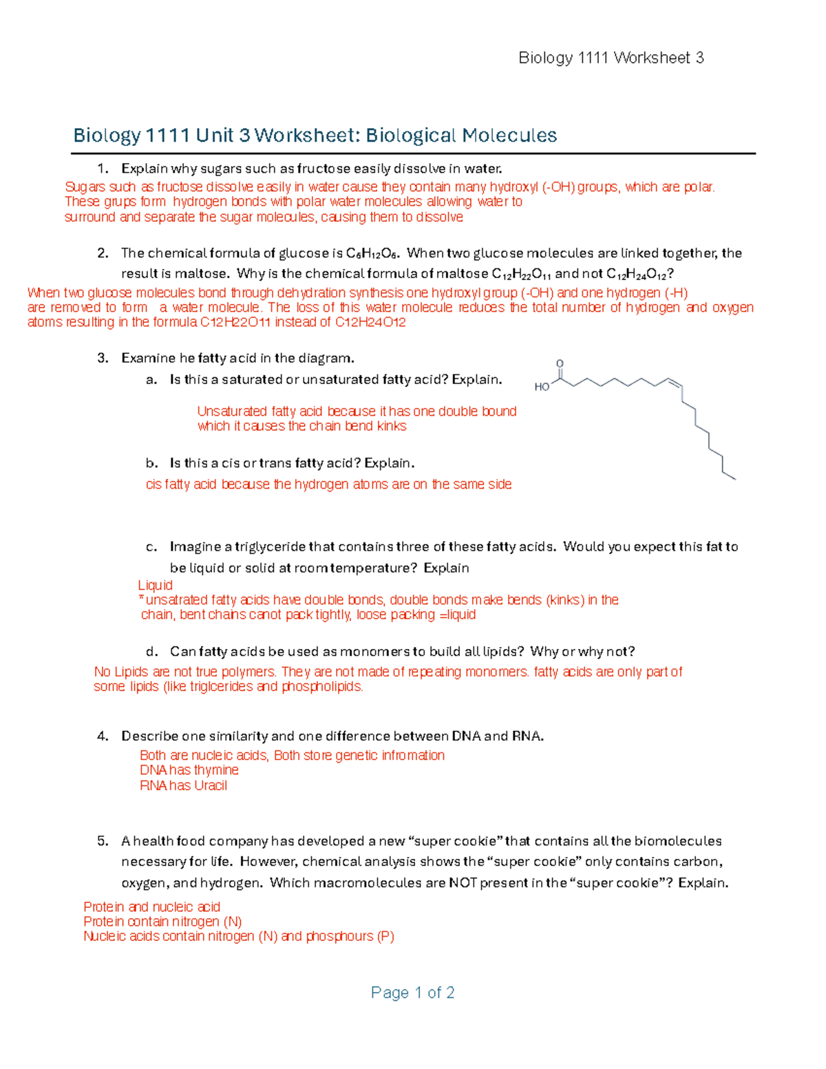 BIOL 1111 Chapter 3 Worksheet: Biological Molecules Explained - Studocu