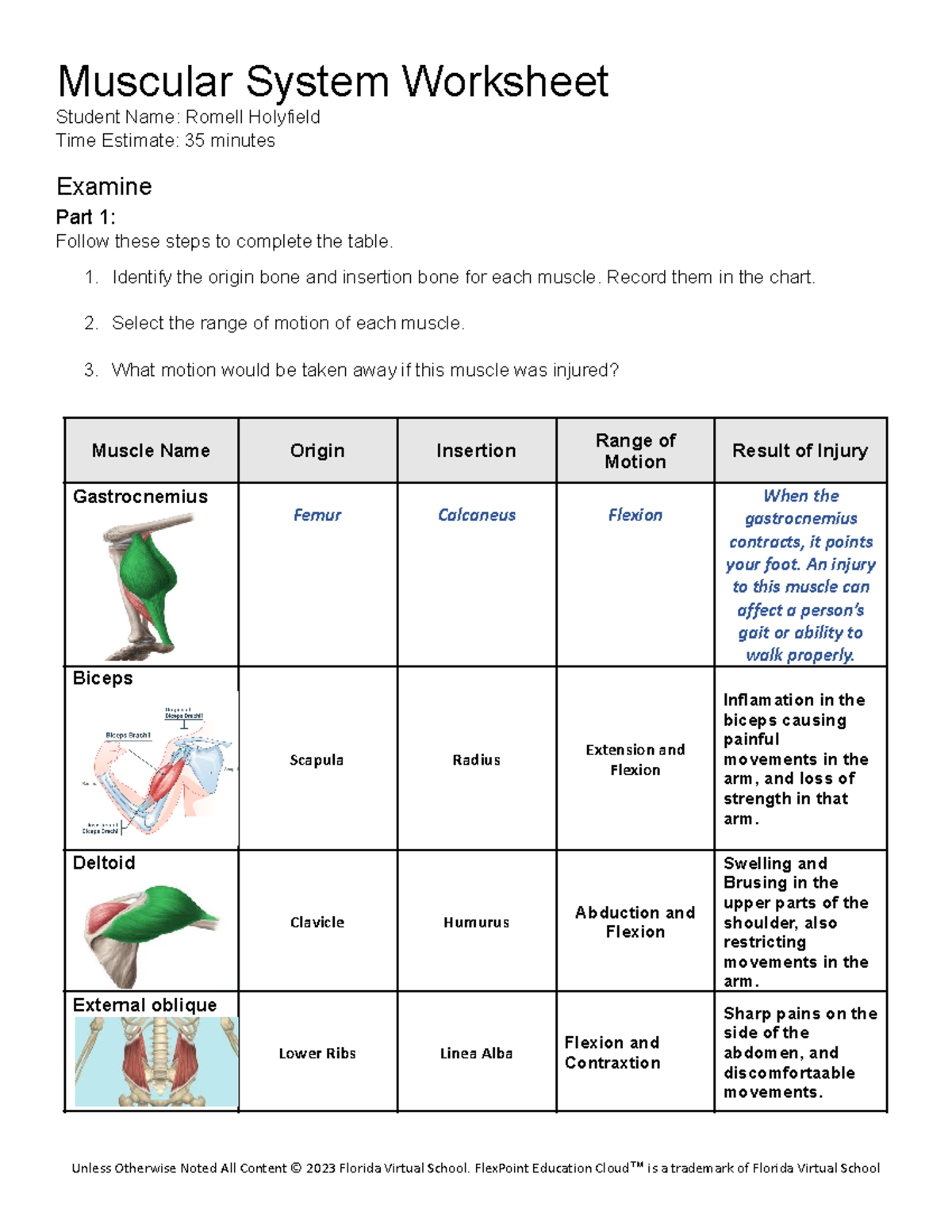 Muscular system worksheet - Muscular System Worksheet Student Name ...