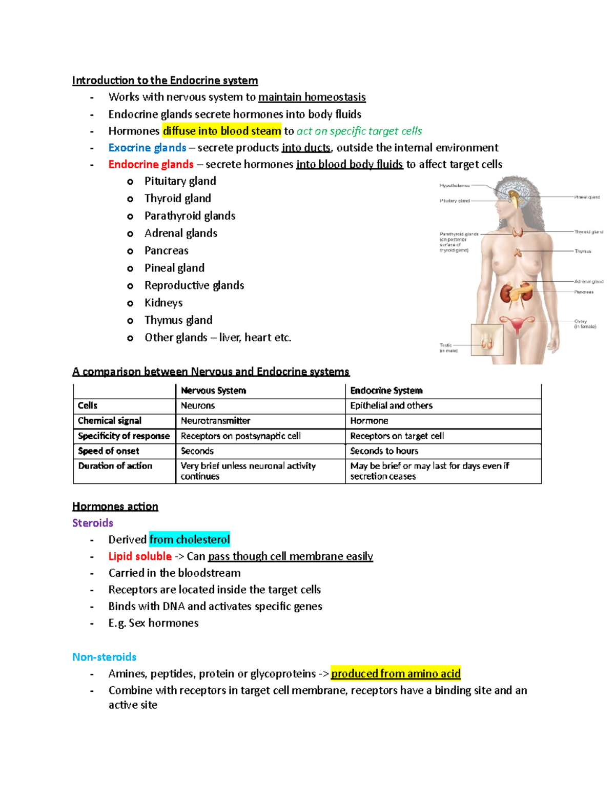 Introduction to the Endocrine system - A comparison between Nervous and ...