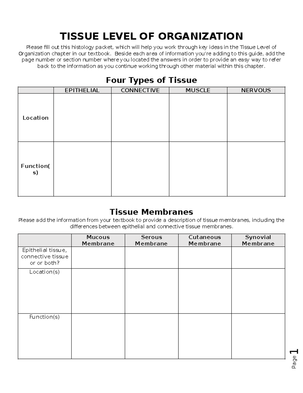 Chapter 4: Tissue Level of Organization - Histology Study Guide - Studocu