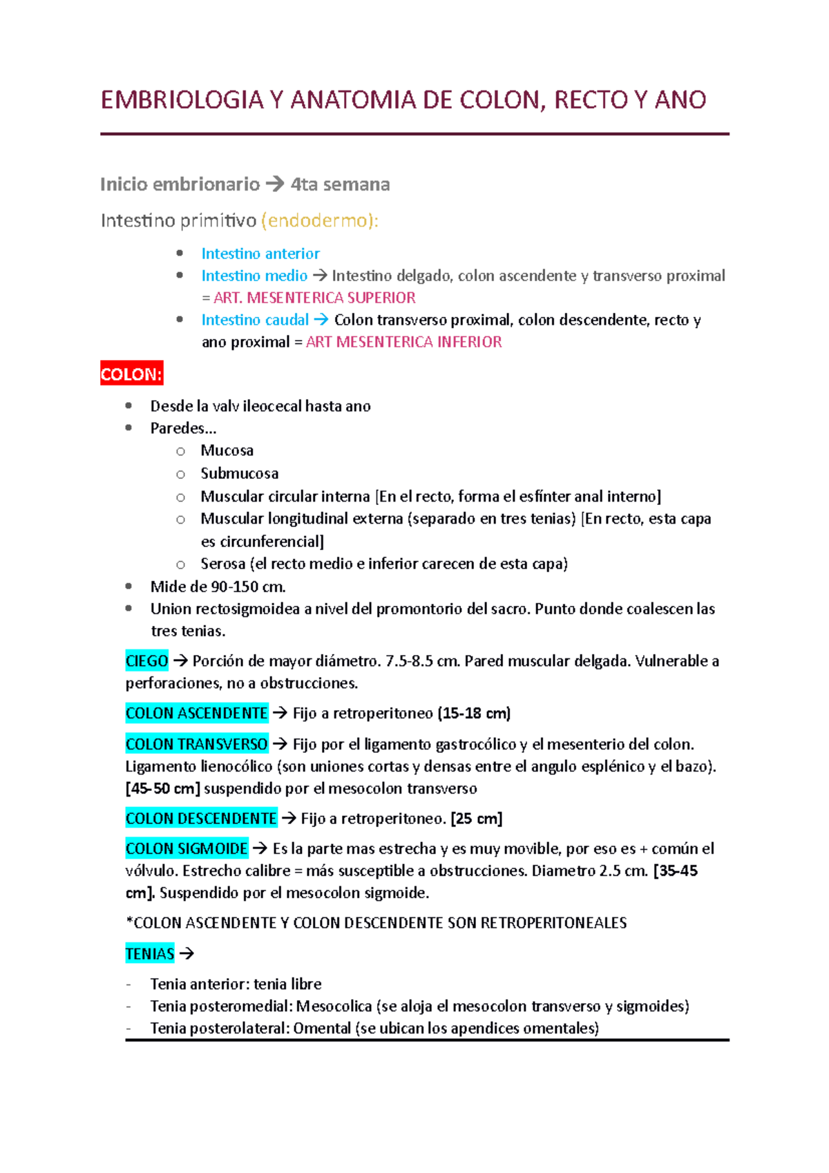 Anatomía y Embriología del Colon, Recto y Ano - Estudio Completo - Studocu