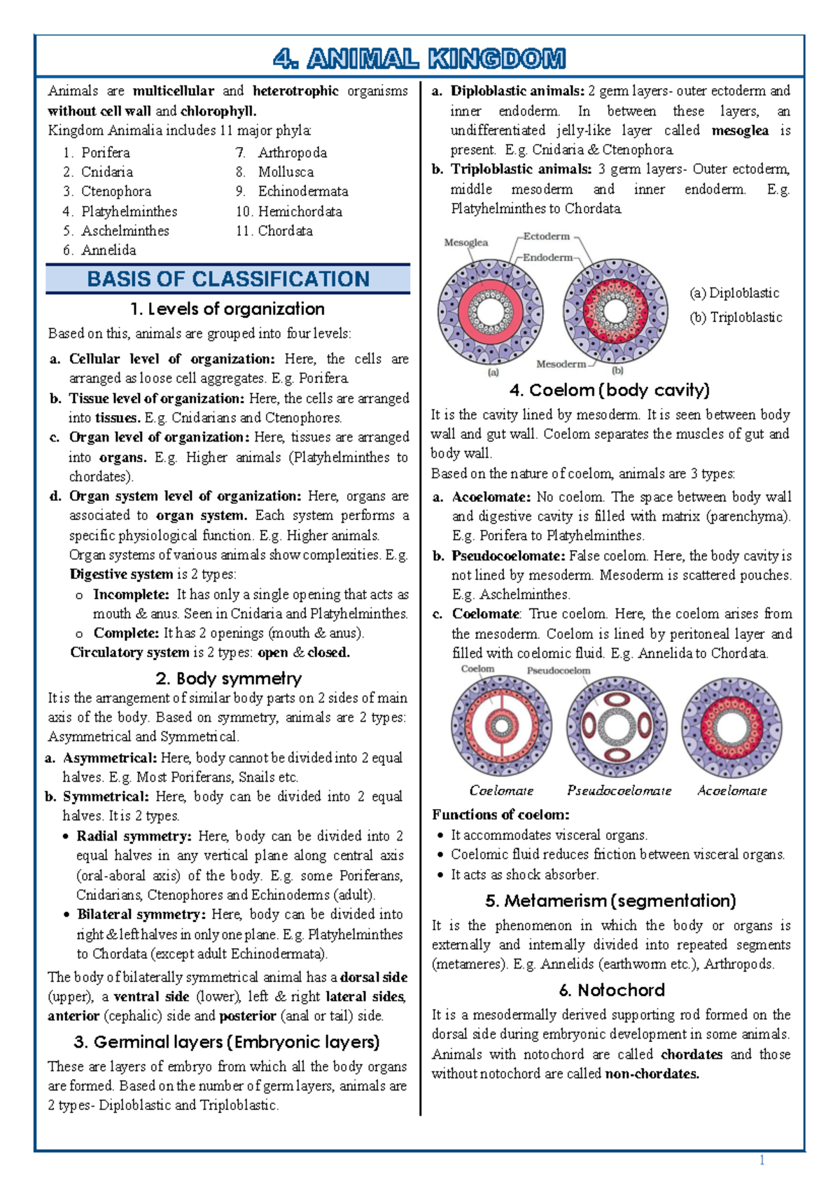 Animal Kingdom Synopsis: Major Phyla and Classification Overview - Studocu