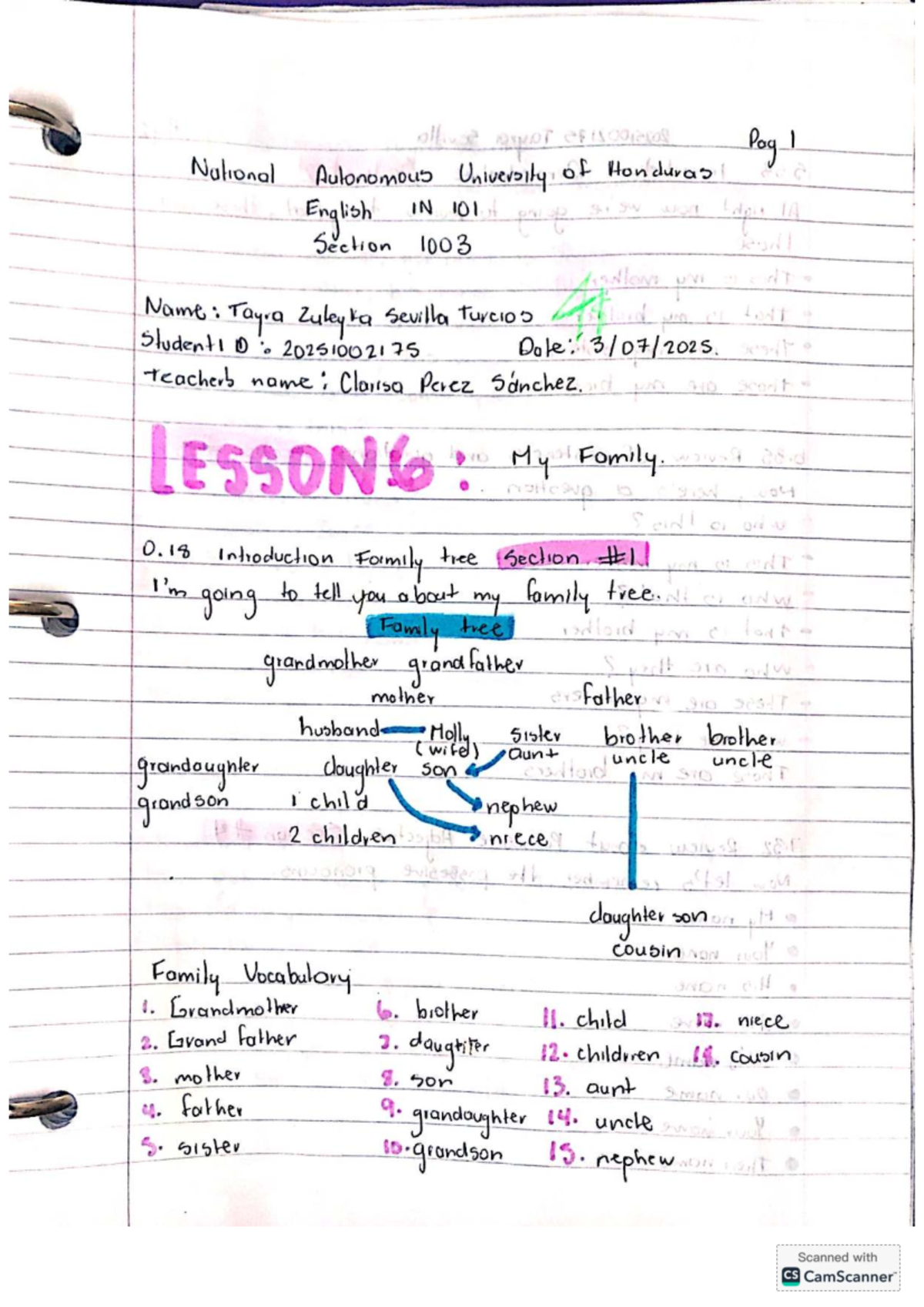U2T2a23 - Lesson 40: My Family Tree and Vocabulary Notes - Studocu