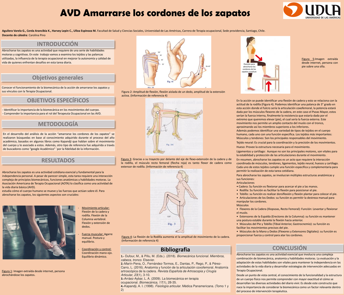 AVD: Biomecánica y Terapia Ocupacional en Amarrarse los Zapatos - Studocu