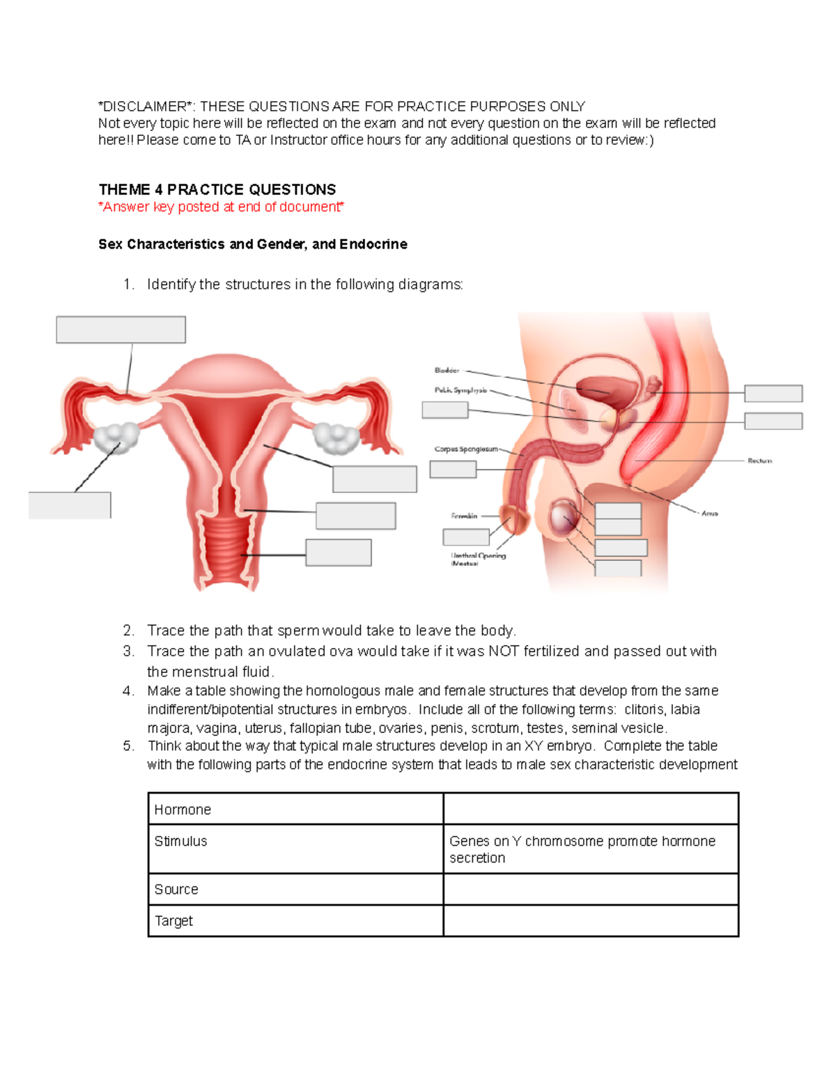 Biol 210 Reproductive System Practice Q&A for Exam Preparation - Studocu