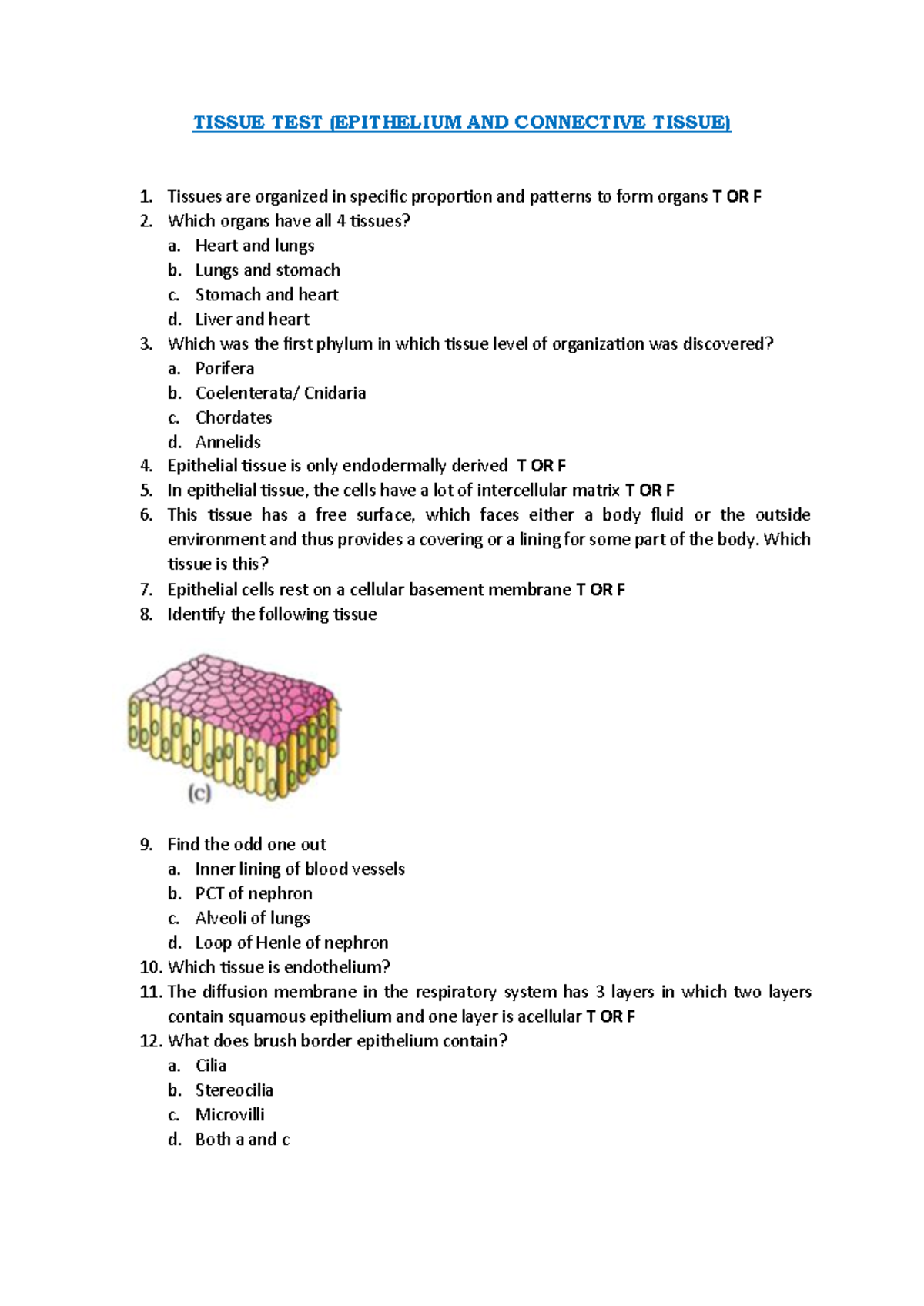 Tissue TEST: Epithelium and Connective Tissue (Final Exam) - Studocu