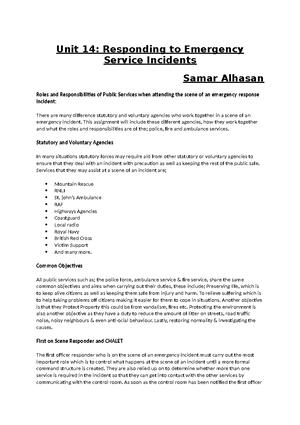 [Solved] how to write the development stage of a graded unit - Public ...