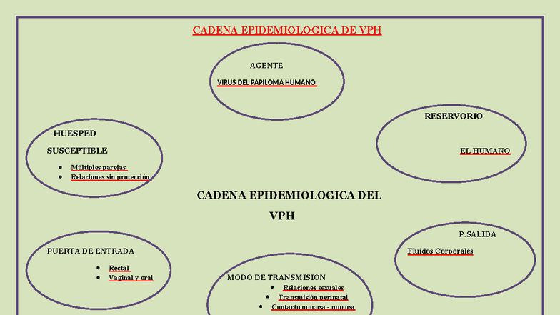 Cadena Epidemiologica DE VPH - estados financieros - CADENA ...