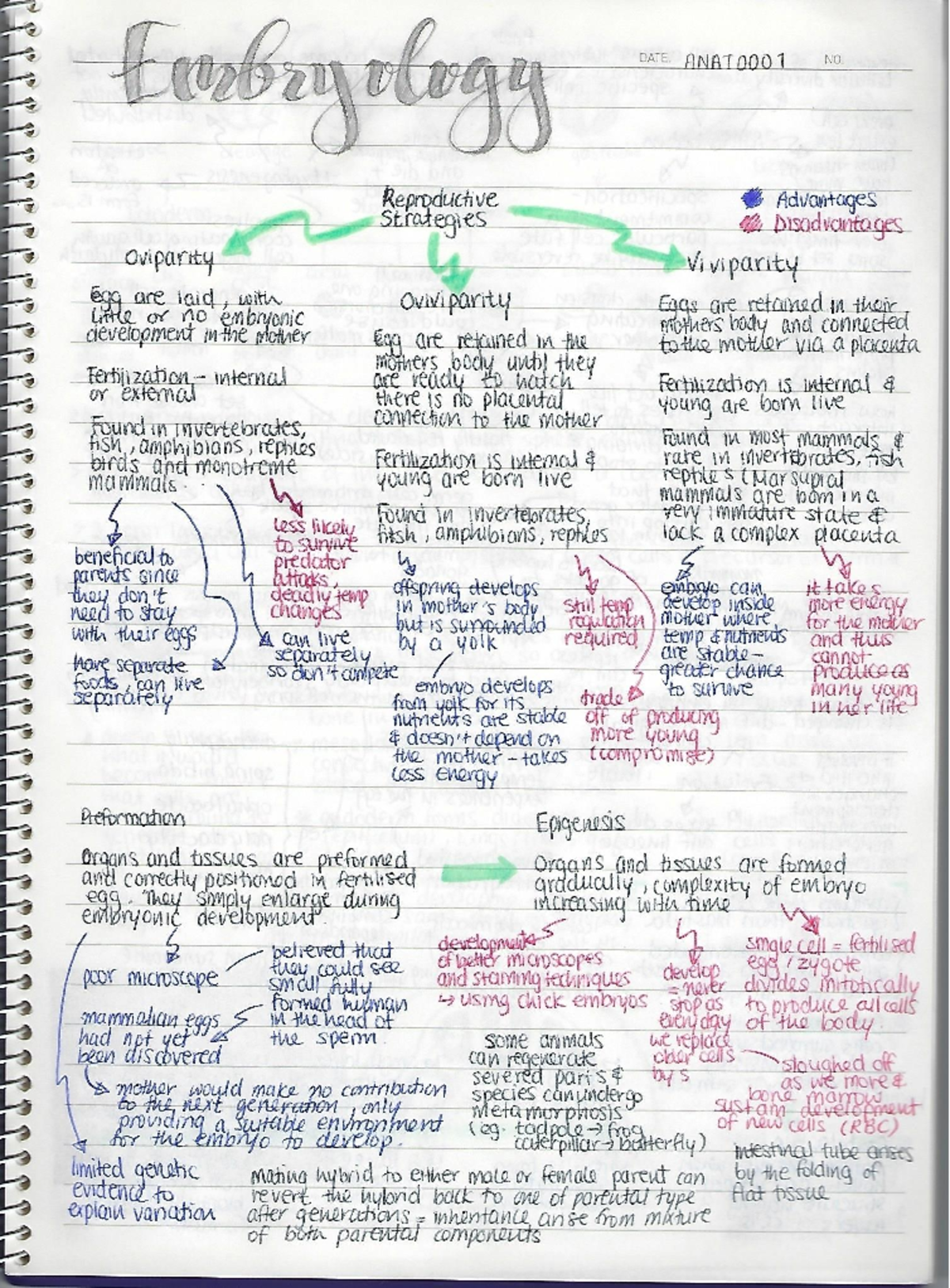 Embryology note - ANAT0001 - Studocu
