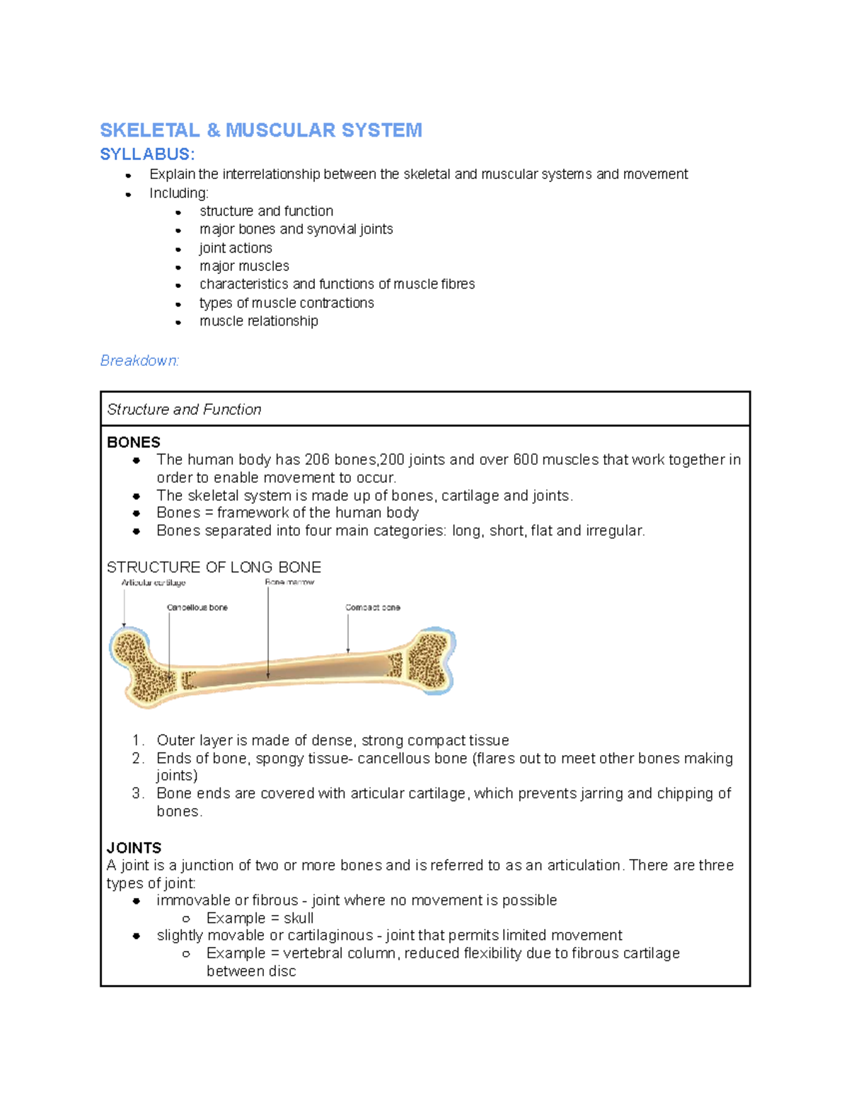 SKELETAL & MUSCULAR SYSTEMS SYLLABUS: Structure, Function & Movement ...