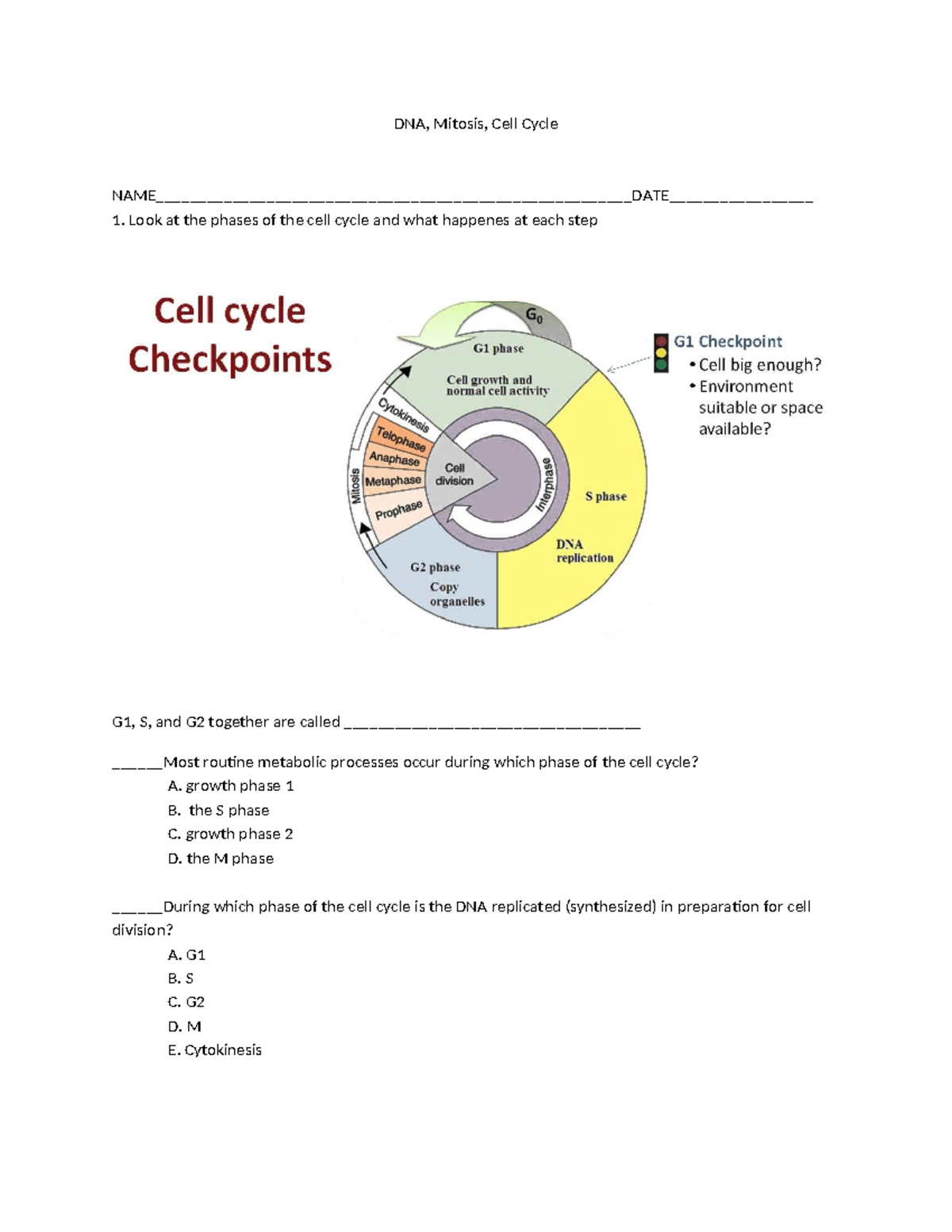 BIO112-Week 4-Cell Cycle, DNA Replication & Mitosis Notes - Studocu