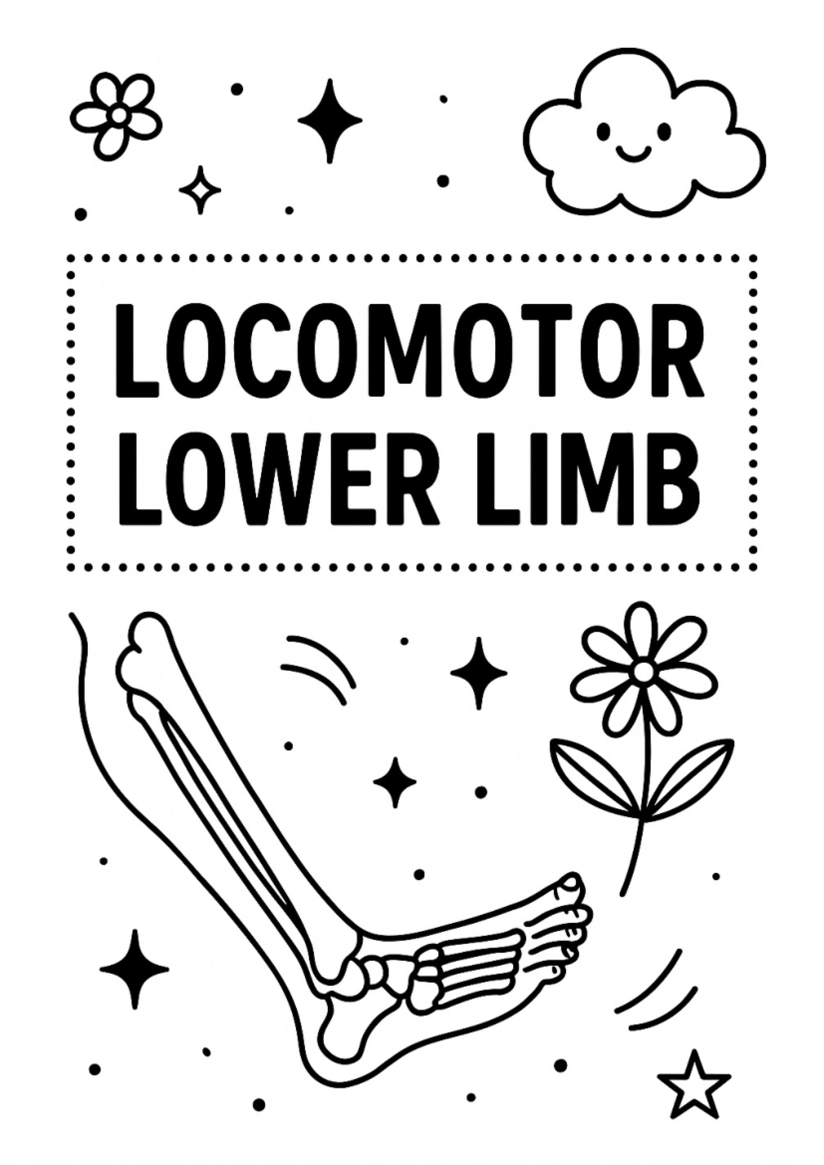 Locomotor Lower Limb Anatomy: Key Structures and Clinical Relevance ...