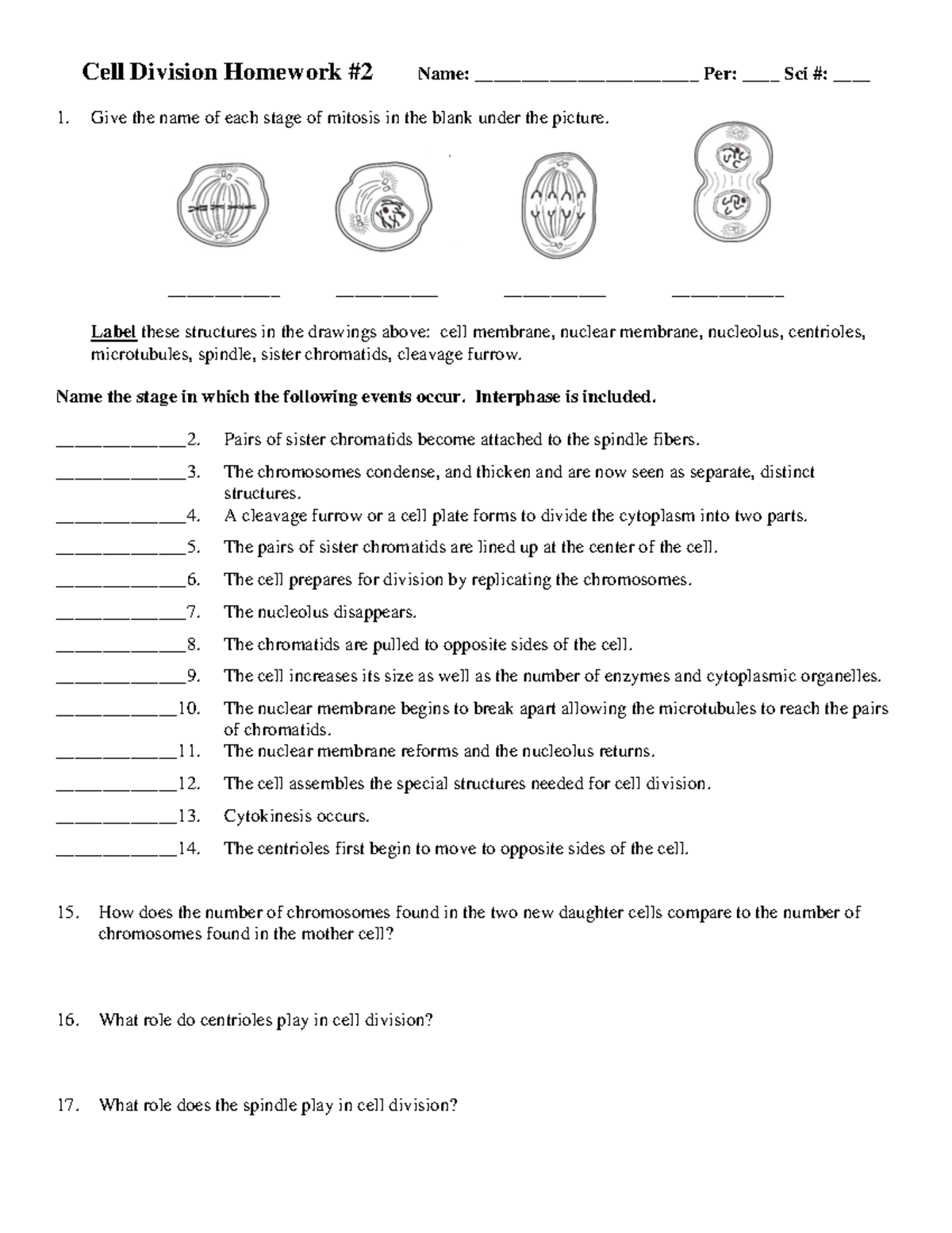 Cell Division Homework #2 - Mitosis Overview and Questions - Studocu