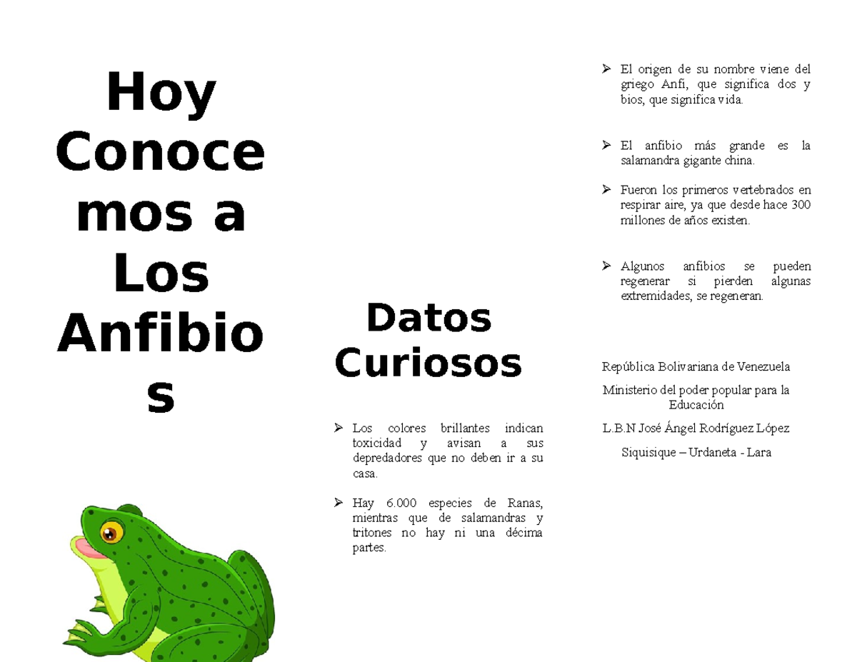 Triptico anfibio - Hoy Conoce mos a Los Anfibio s Datos Curiosos Los ...