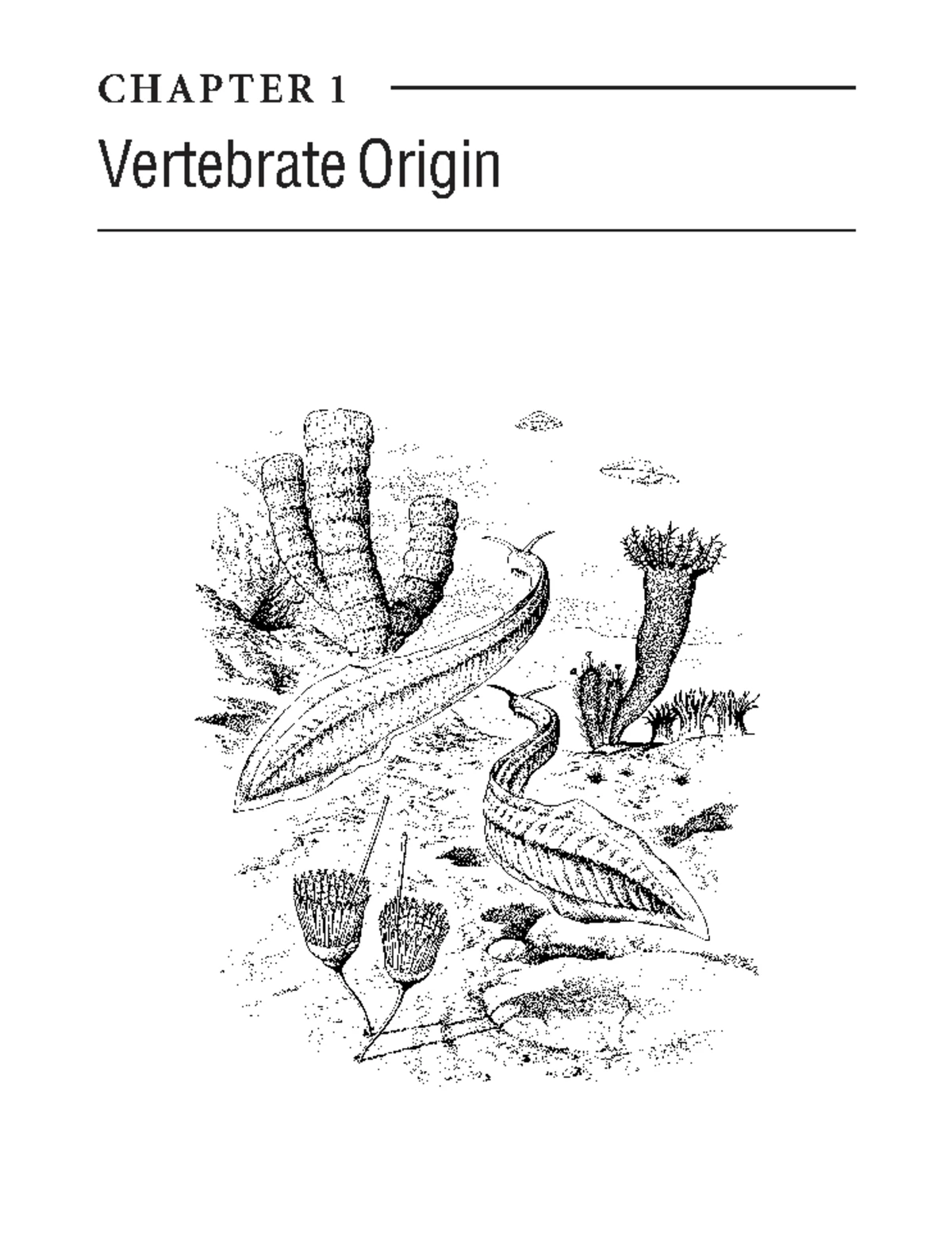 ZOO 200 TEST 01 - Vertebrate Anatomy & Physiology I Review Notes - Studocu