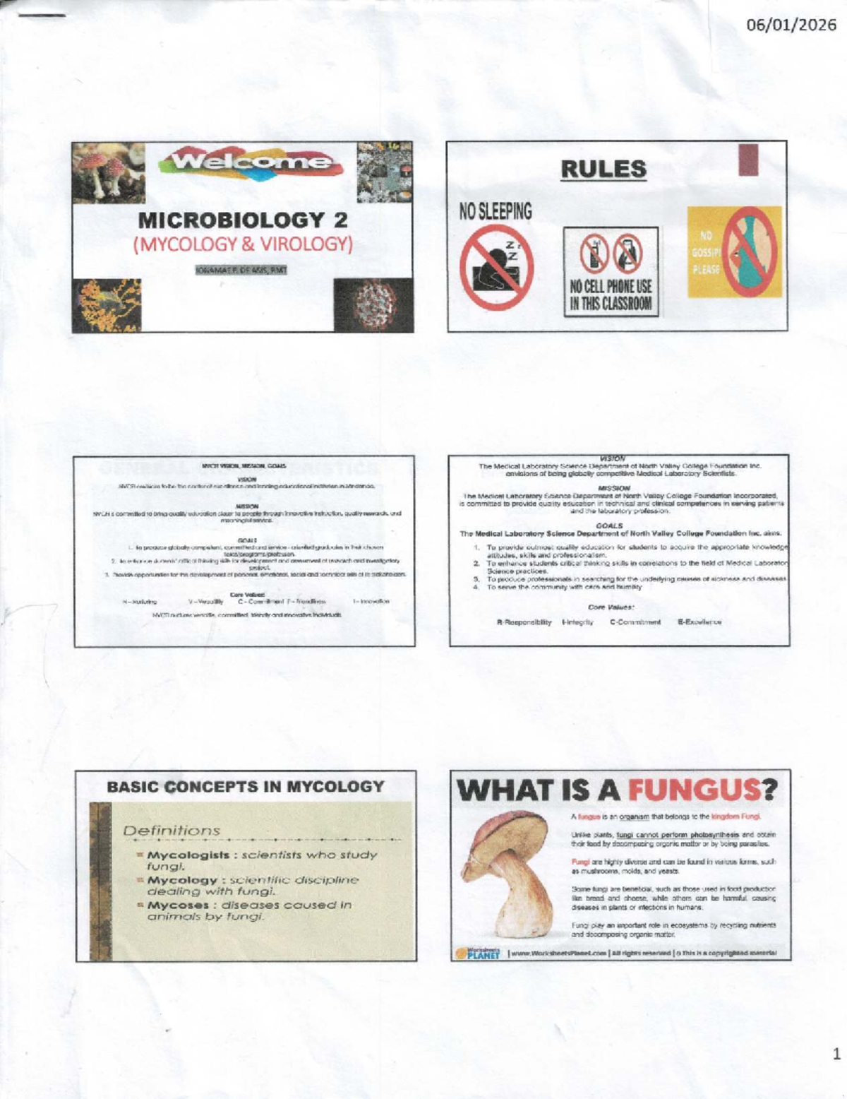 MYCO 2 Lesson 1: Introduction to Mycology and Fungal Biology - Studocu