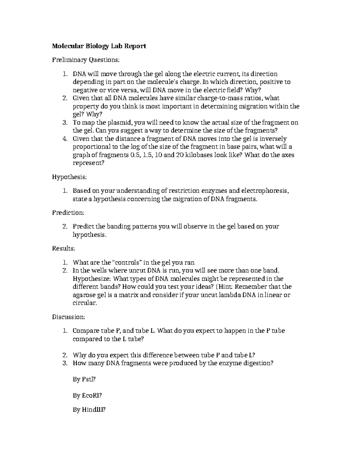 Molecular Bio Discussion Questions - Molecular Biology Lab Report ...