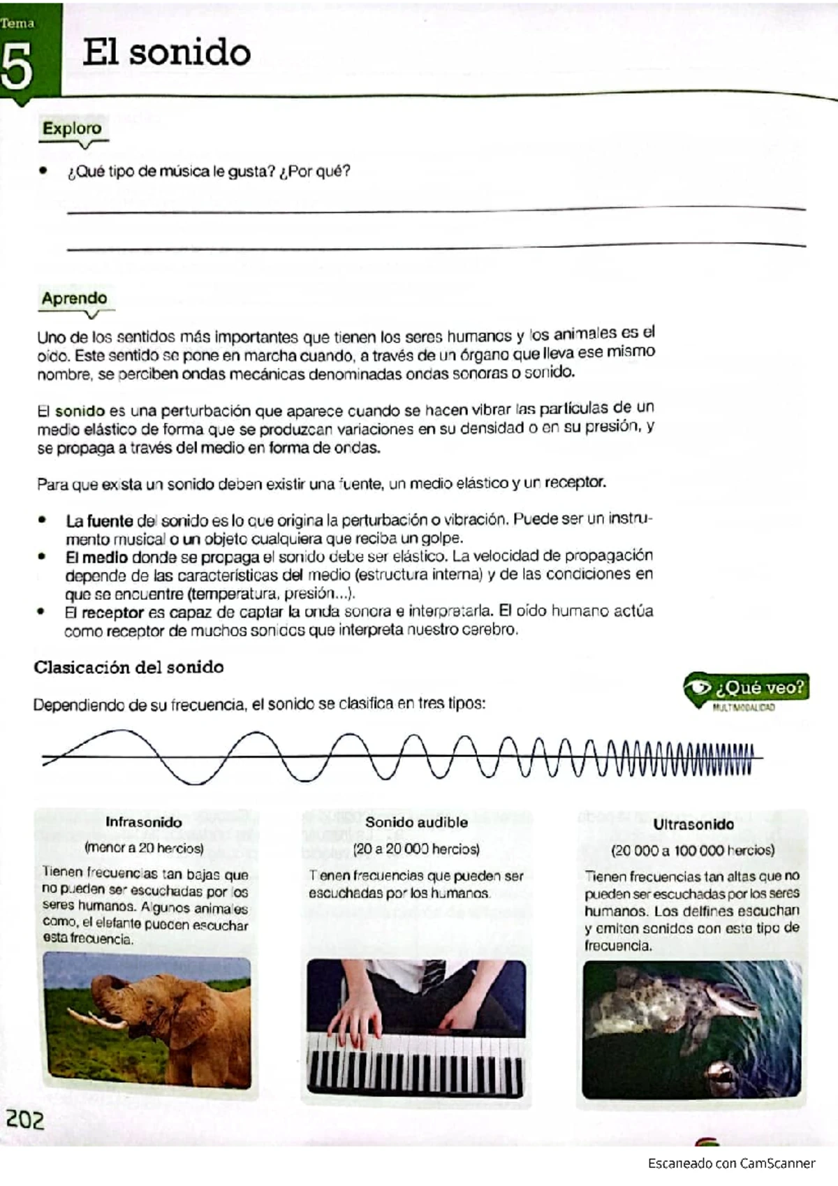 PLAN DE ESTUDIOS ESCOLAR DE PEDAGOGÍA Y CIENCIAS DE LA EDUCACIÓN - Studocu