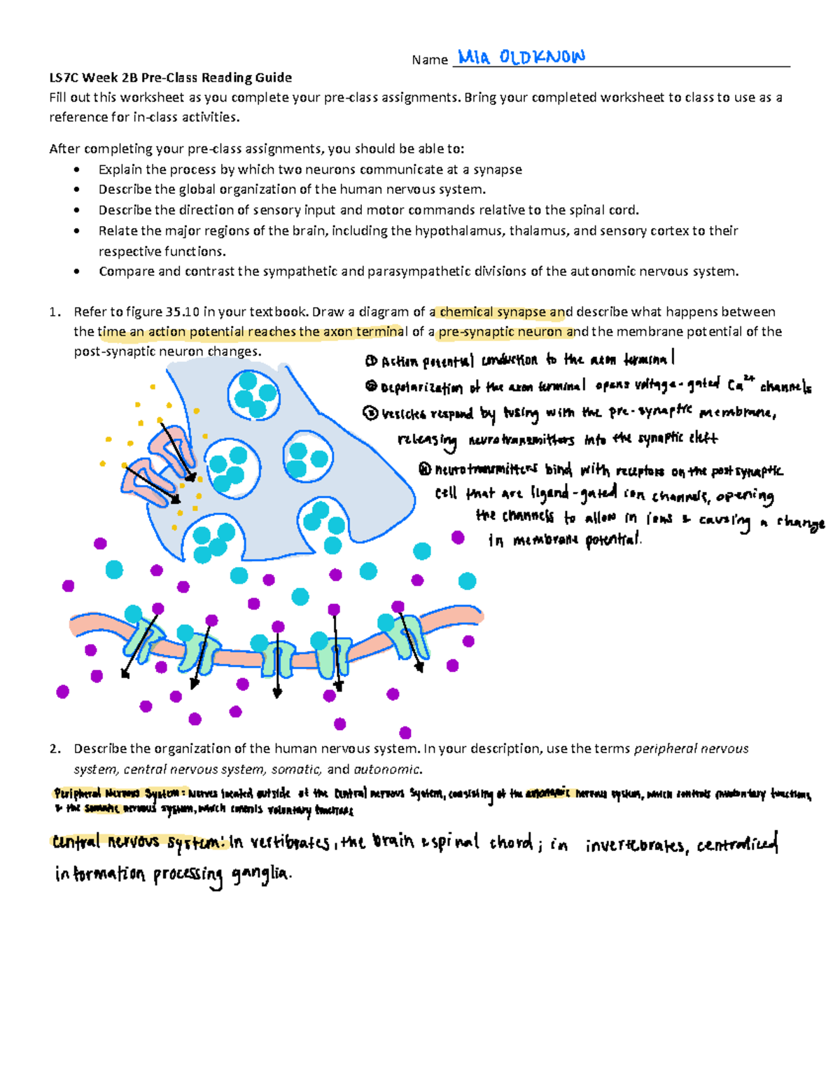 LS7C Week 2B Pre-Class Reading Guide on Nervous System Concepts - Studocu