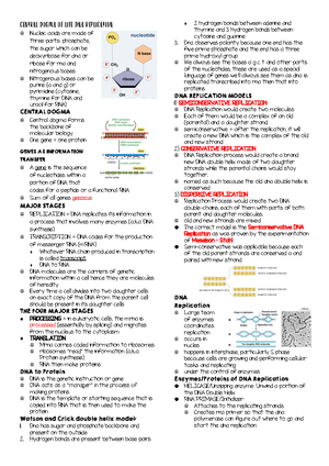 Draw To Learn 12 Central Dogma - Class 1 DTL:Central Dogma DNA . RNA ...