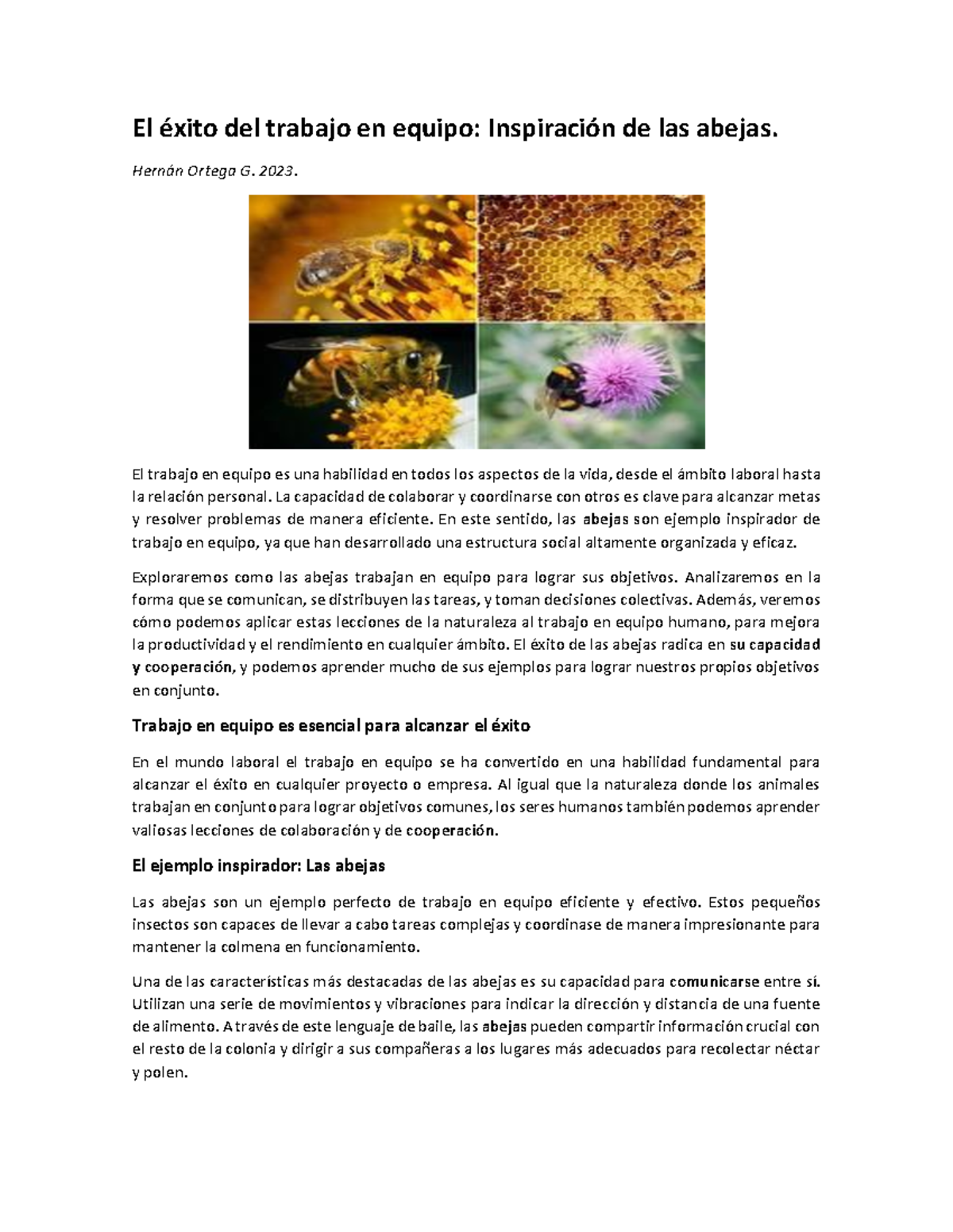 El exito del trabajo en equipo La inspiracion de las Abejas Por Hernan ...