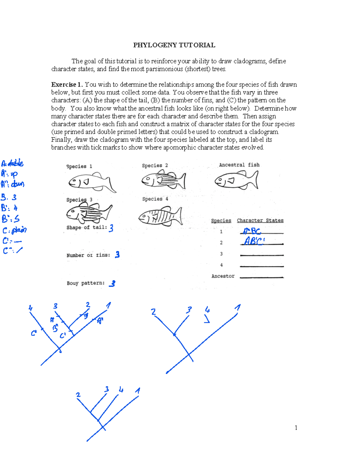 Phylogeny Tutorial 2020 - 1 PHYLOGENY TUTORIAL The goal of this ...