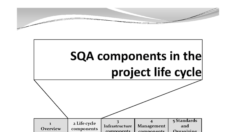 Unit 2 SQA Components in the Project Life Cycle: Overview & Testing ...