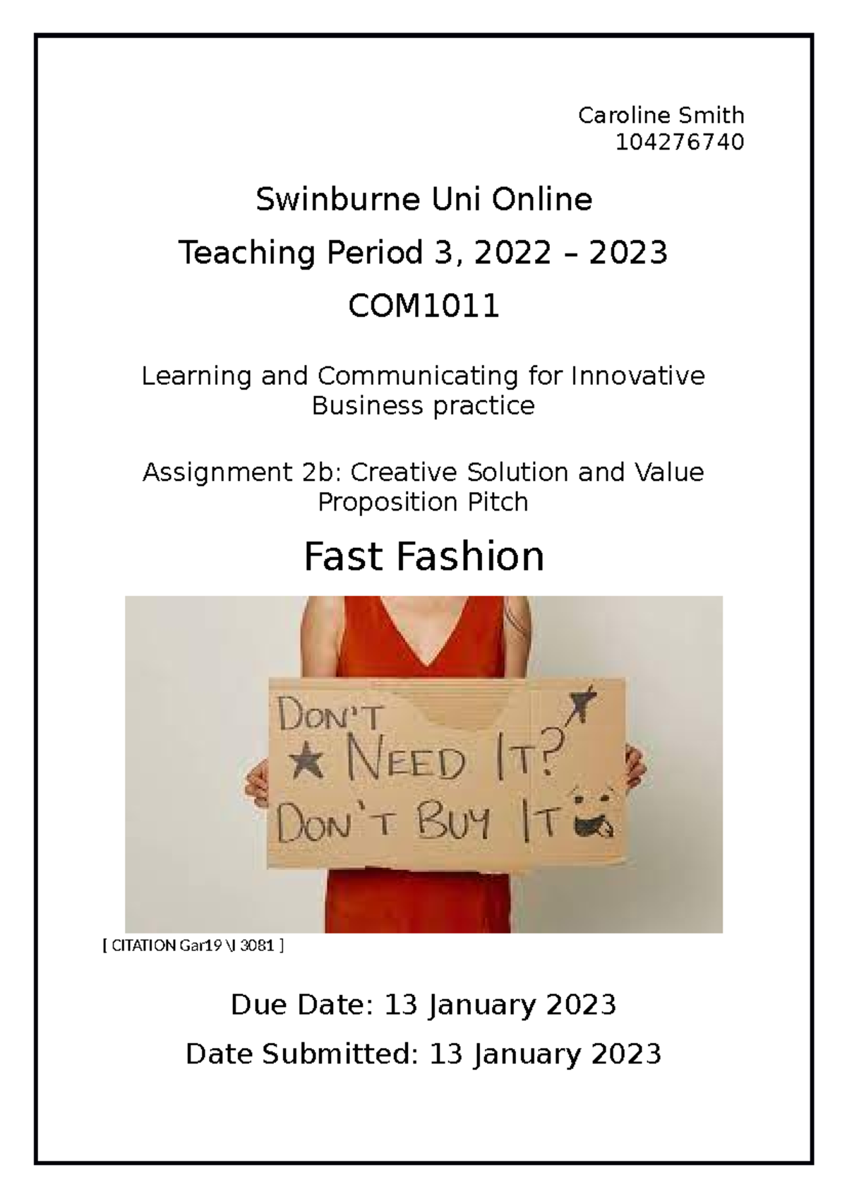 COM1011 Assignment 2B: Creative Solutions for Fast Fashion ...