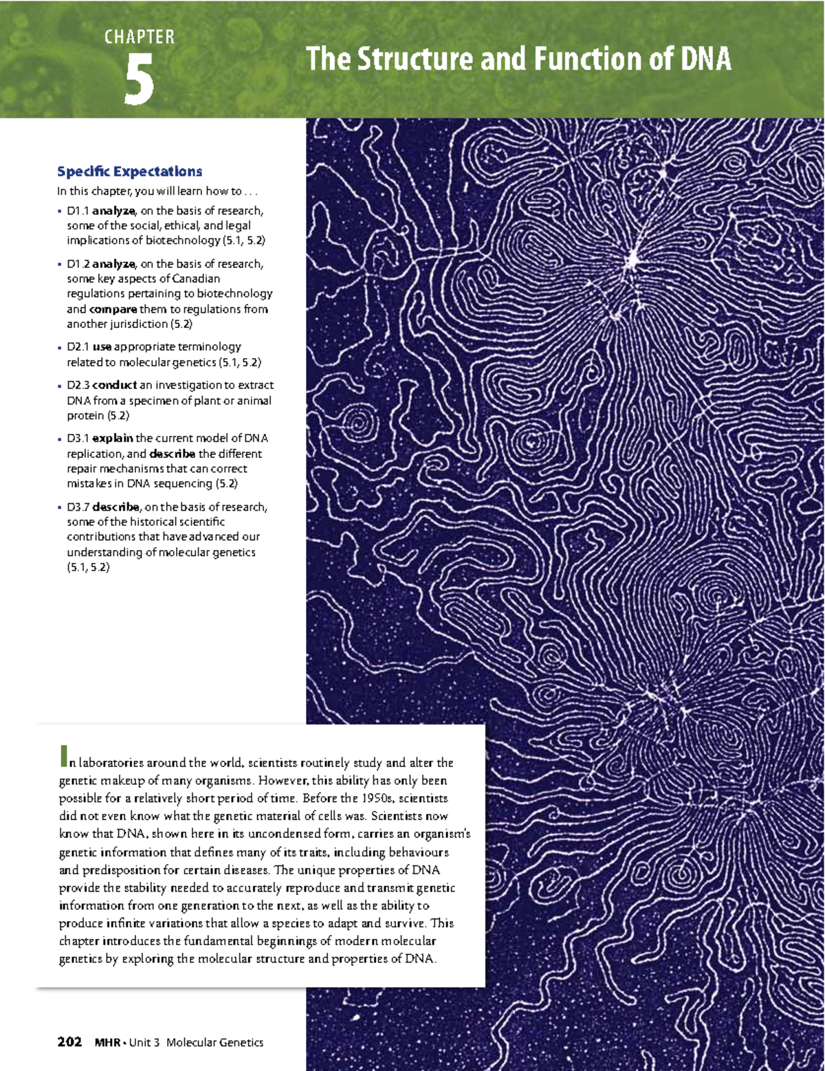 SBI4U Chapter 5 - The Structure and Function of DNA in Biology - Studocu