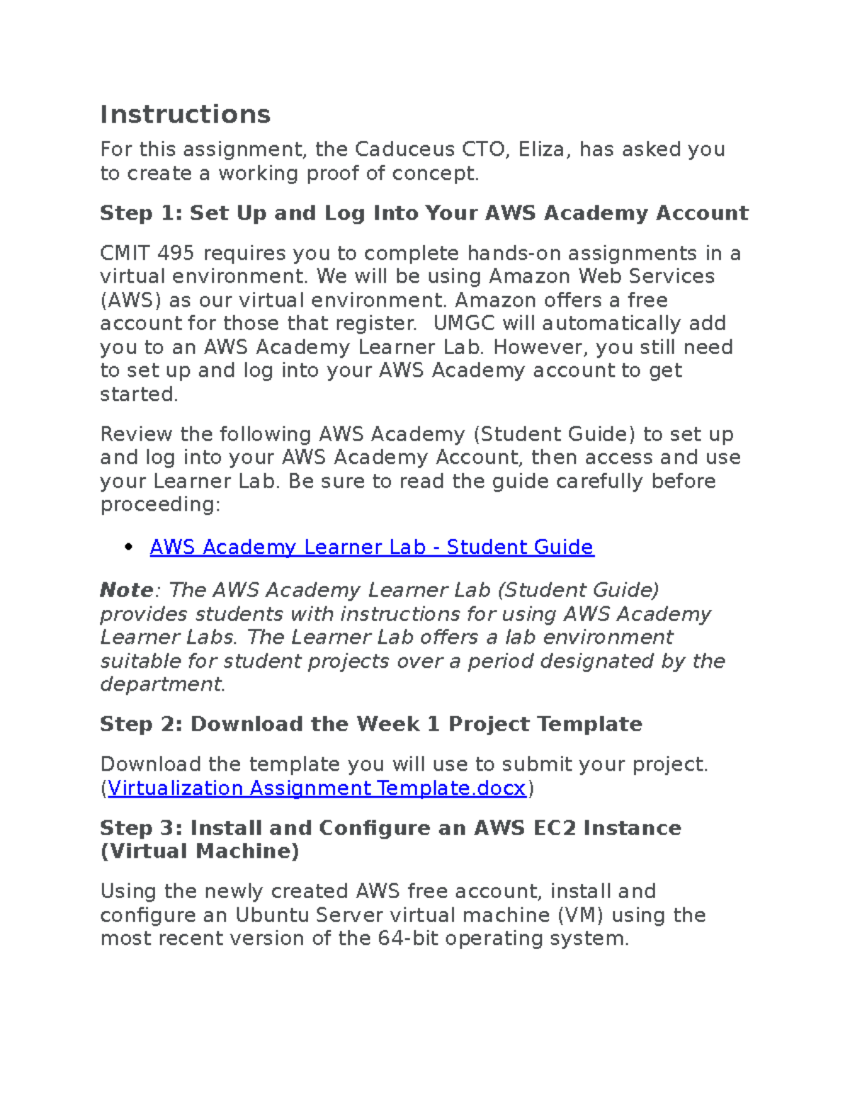 CMIT 495 Project 1: Virtualization Assignment Instructions and Guide - Studocu