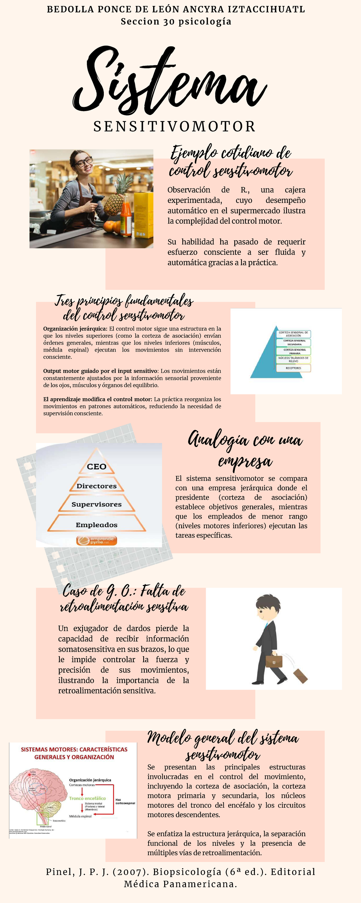Sistema Sensitivo-motor - Sistema S E N S I T I V O M O T O R ...