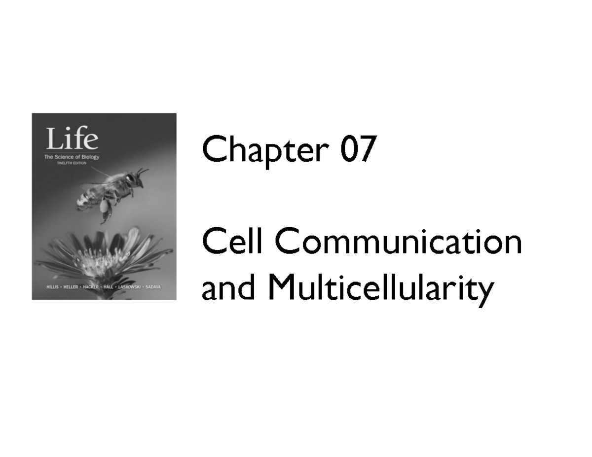 Chapter 7 Cell signaling - Chapter 07 Cell Communication and ...