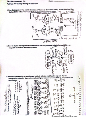 A&P Study Guide: Cranial Nerves, Reflexes, and Sensory Functions - A&P ...