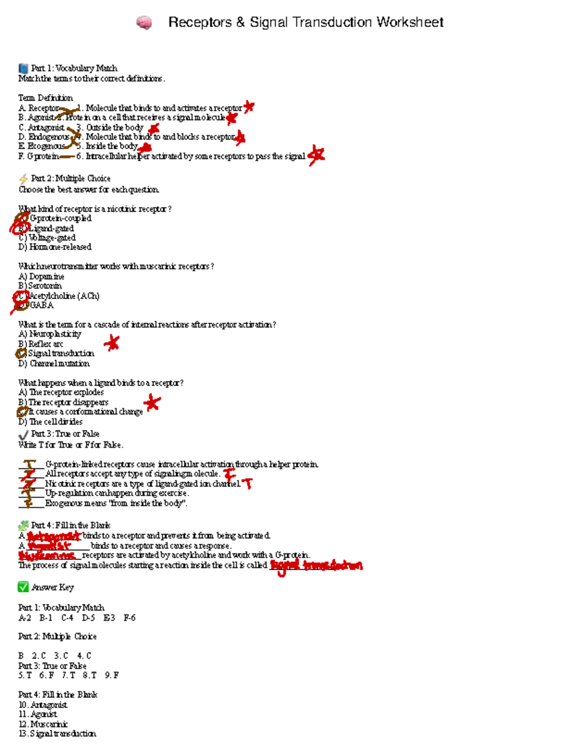 Receptors and Signal Transduction Worksheet (Bio 101) - Studocu