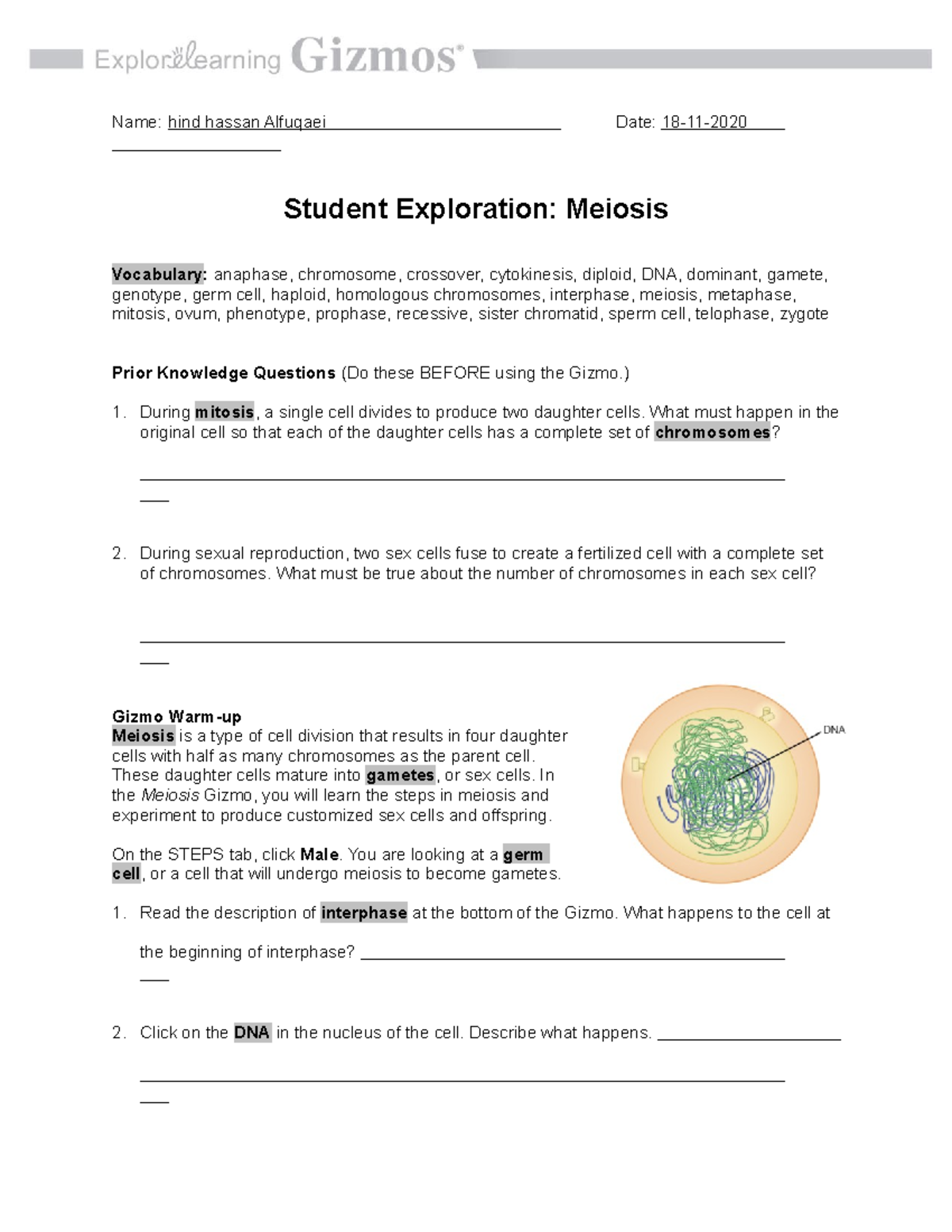 Gizmo SE- Meiosis- stat for biology- 235. lab report .23658701biology ...