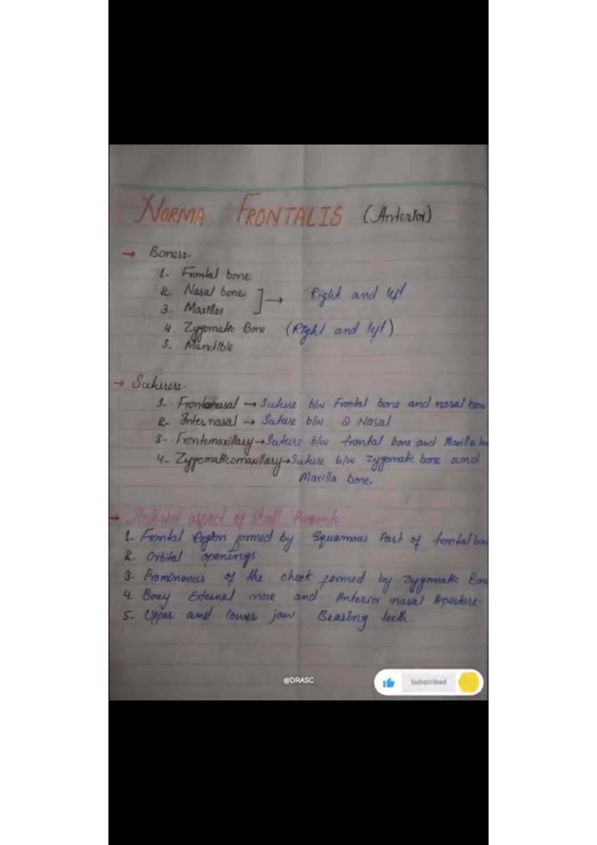 NORMA FRONTALIS & BASALIS: Skull Anatomy Notes (DRASC) - Studocu