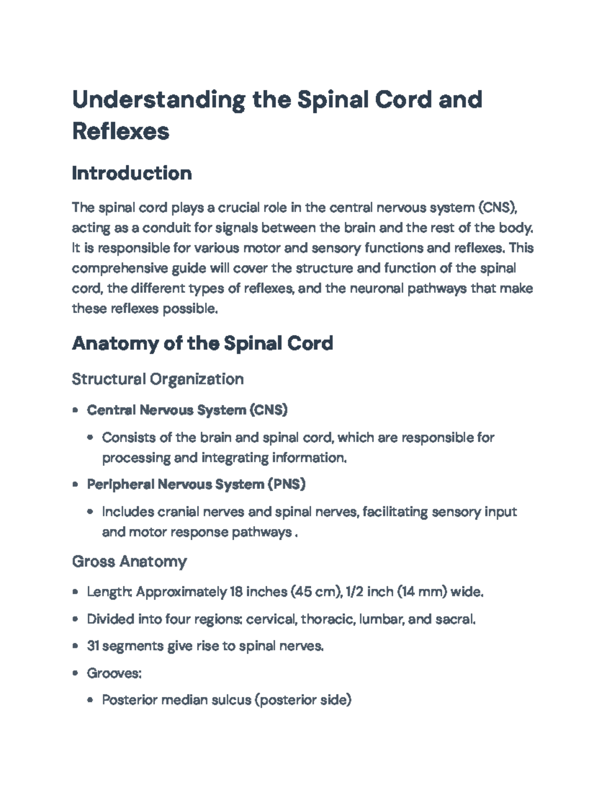 Understanding the Spinal Cord and Reflexes: ANAT 101 Guide ...